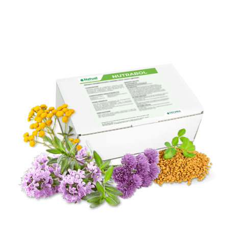 Nutrabol: Helps manage parasites in grazing cattle | Natual